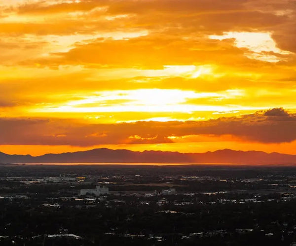 How to Authenticate and Appraise Your Gold Bullion Collection